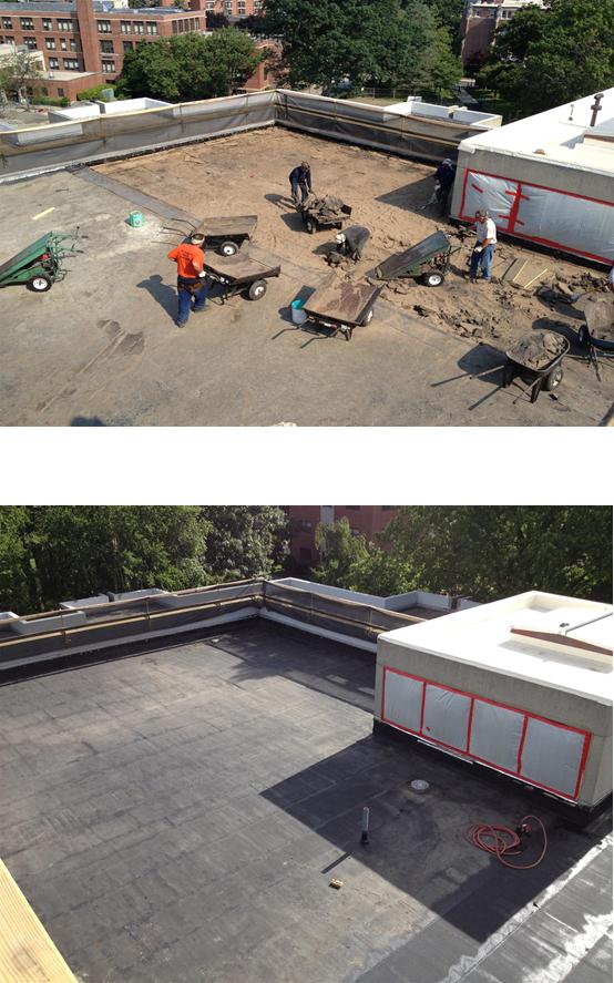 Phillips Memorial Library Roof Replacement – Momentum – Construction ...